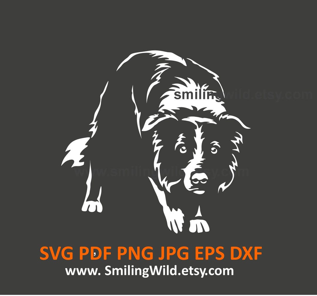 Herding Border Collie SVG PNG DXF Portrait: Dog White Vector Clipart ...