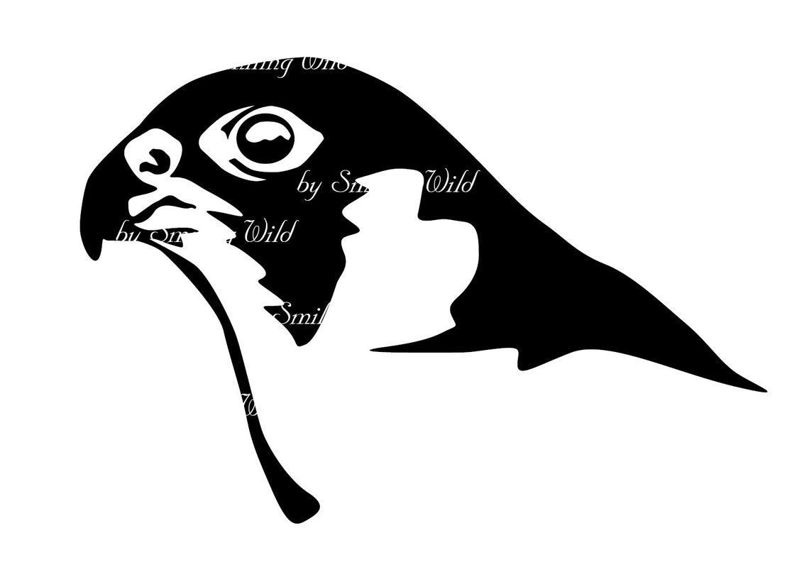 Peregrine Falcon Svg Clipart Vector Graphic Art Duck Hawk Art - Etsy