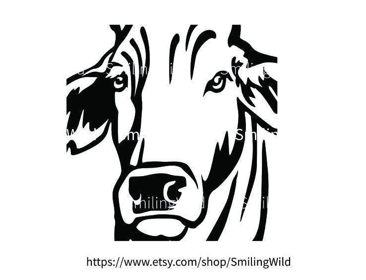Brahman Cow Svg Vector Graphic Clip Art Brahman Cattle - Etsy Australia
