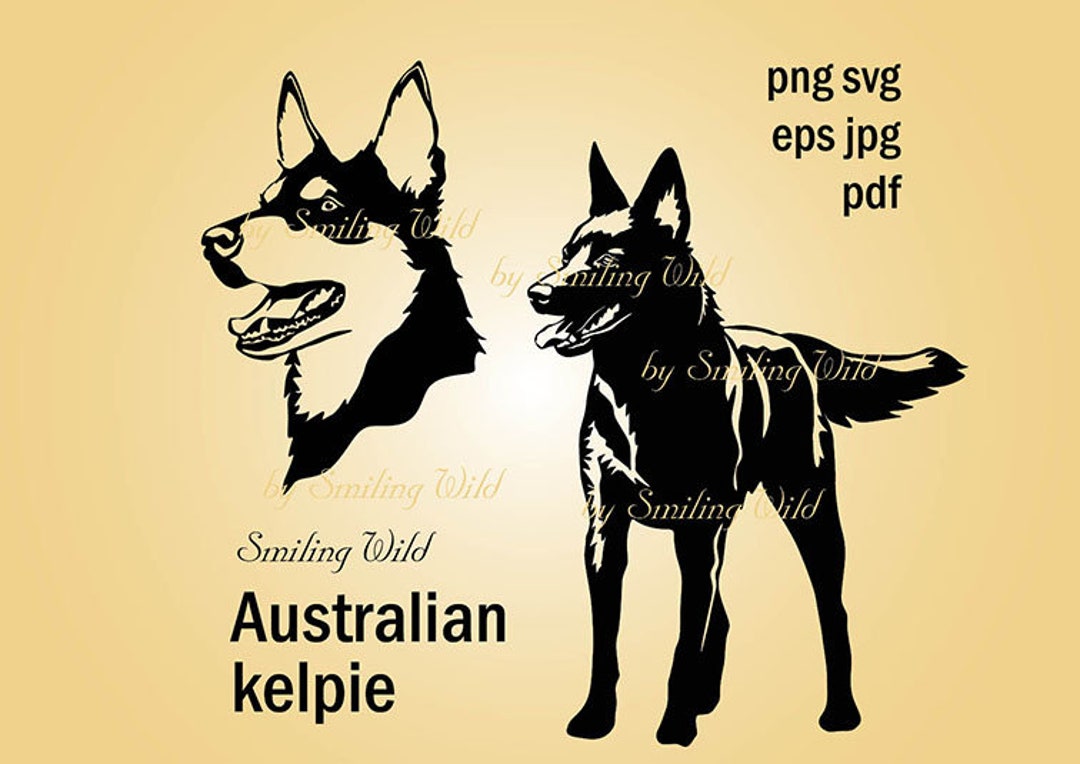 Australian Kelpie Svg Vector Graphic Art Black Dog Vector Kelpie Design ...