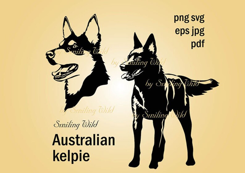 Australian Kelpie Vector Art: Dog Digital Clipart Drawing - Etsy