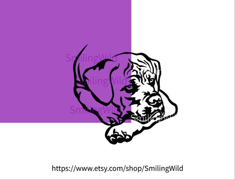 Cane Corso Svg Portrait Clipart Vector Graphic Art Dog Head - Etsy