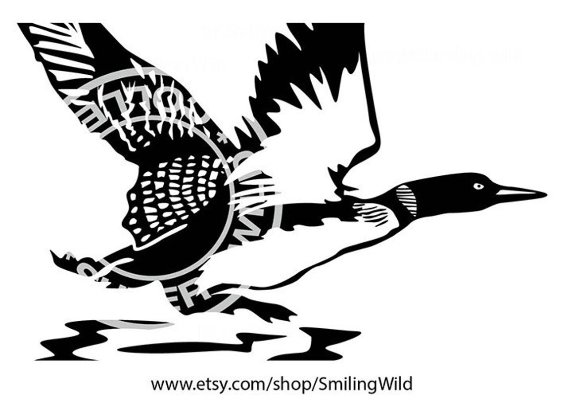 Loon Svg Clipart Vector Graphic Art Flying Bird Svg Loon Cut | Etsy