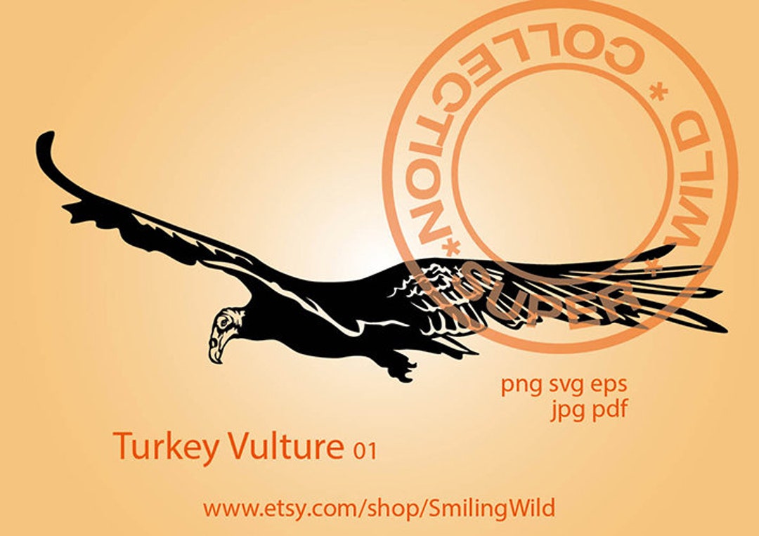 Turkey Vulture Flying Bird Svg Clip Art Vector Graphic Art - Etsy