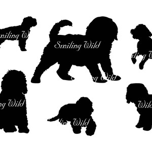 Cockapoo Silhouette Svg Printable Gift Png Clipart Cockapoo Instant ...