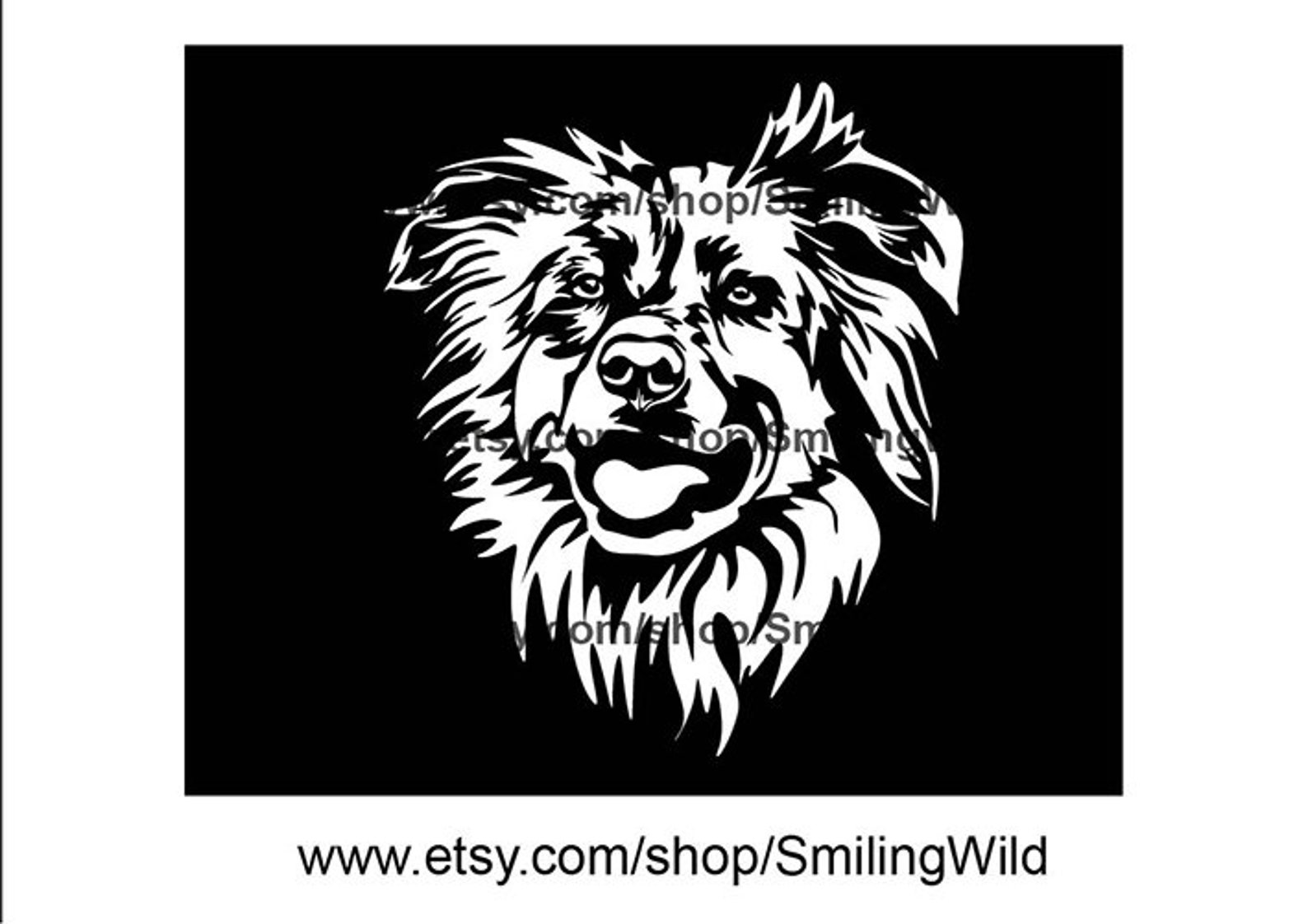 Australian Shepherd Svg White Vector Aussie Portrait Smiling - Etsy