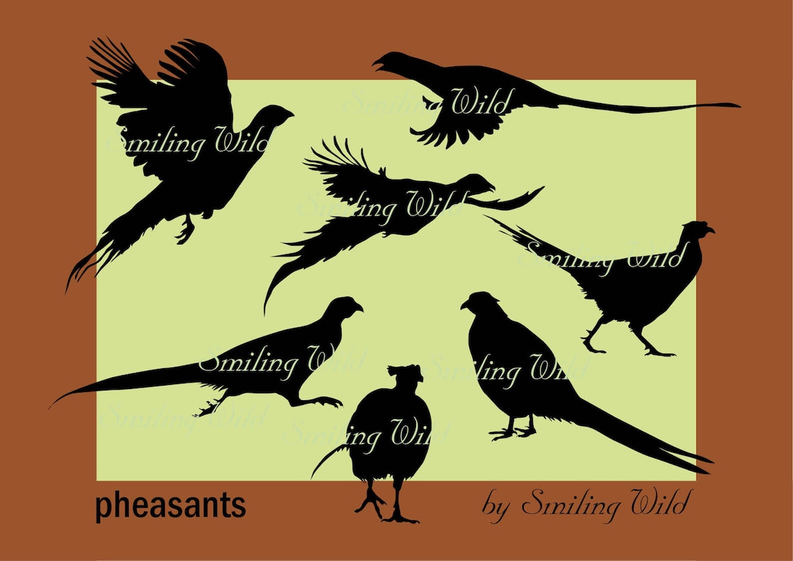 Pheasant Svg Silhouette Clipart Bird Cut File Cricut Printable | Etsy