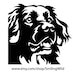 Stabyhoun Svg Portrait Dog Cuttable File Vector Graphic Art Stabyhoun ...