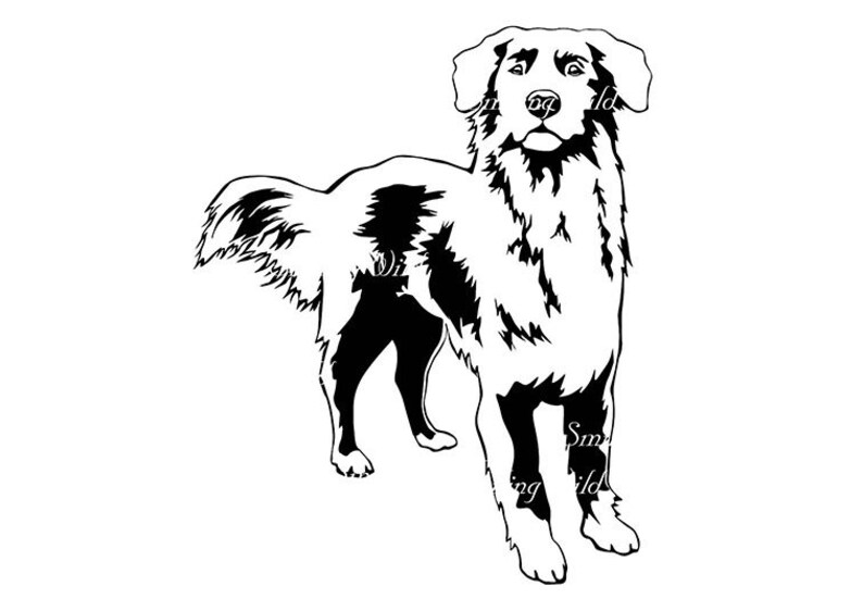 Toller Dog Svg Clipart Vector Graphic Art Png Nova Scotia Duck - Etsy ...