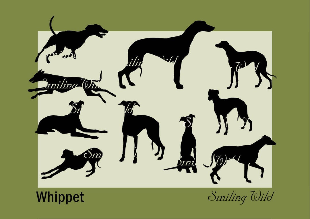 Whippet Vector Graphic Art Svg Silhouette Printable Png Whippet Dog ...