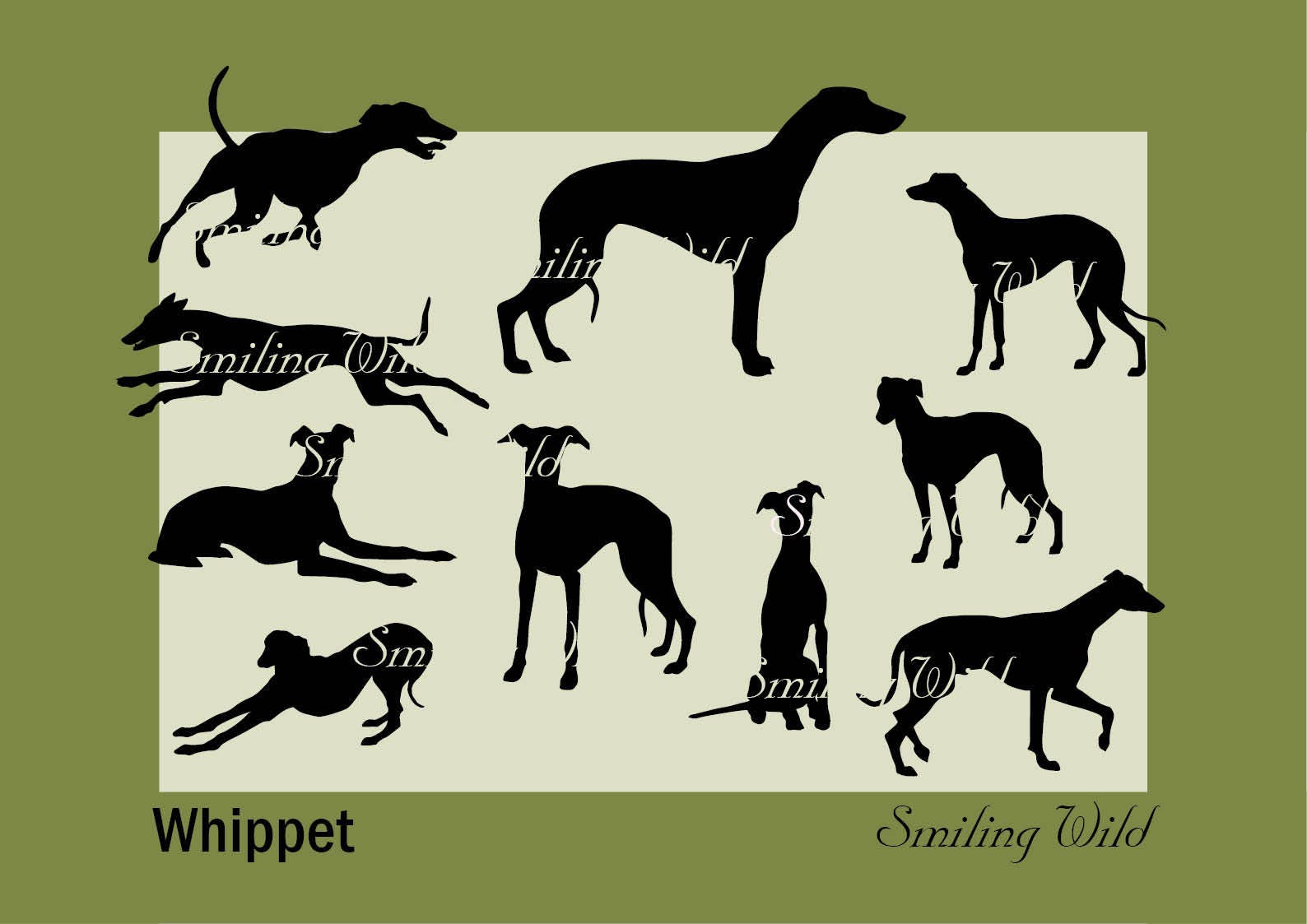 Whippet Vector Graphic Art Svg Silhouette Printable Png - Etsy