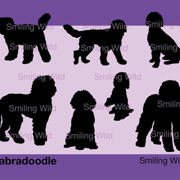 Labradoodle Clipart - Etsy