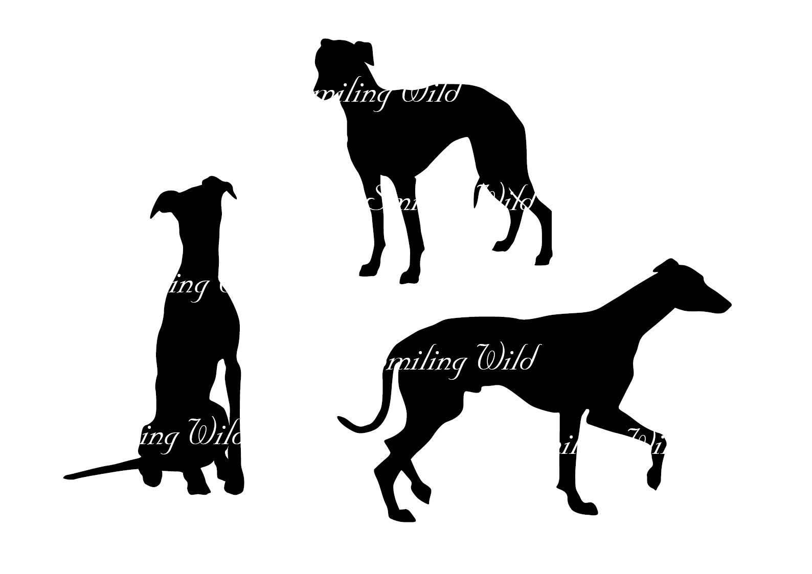 Whippet Vector Graphic Art Svg Silhouette Printable Png - Etsy