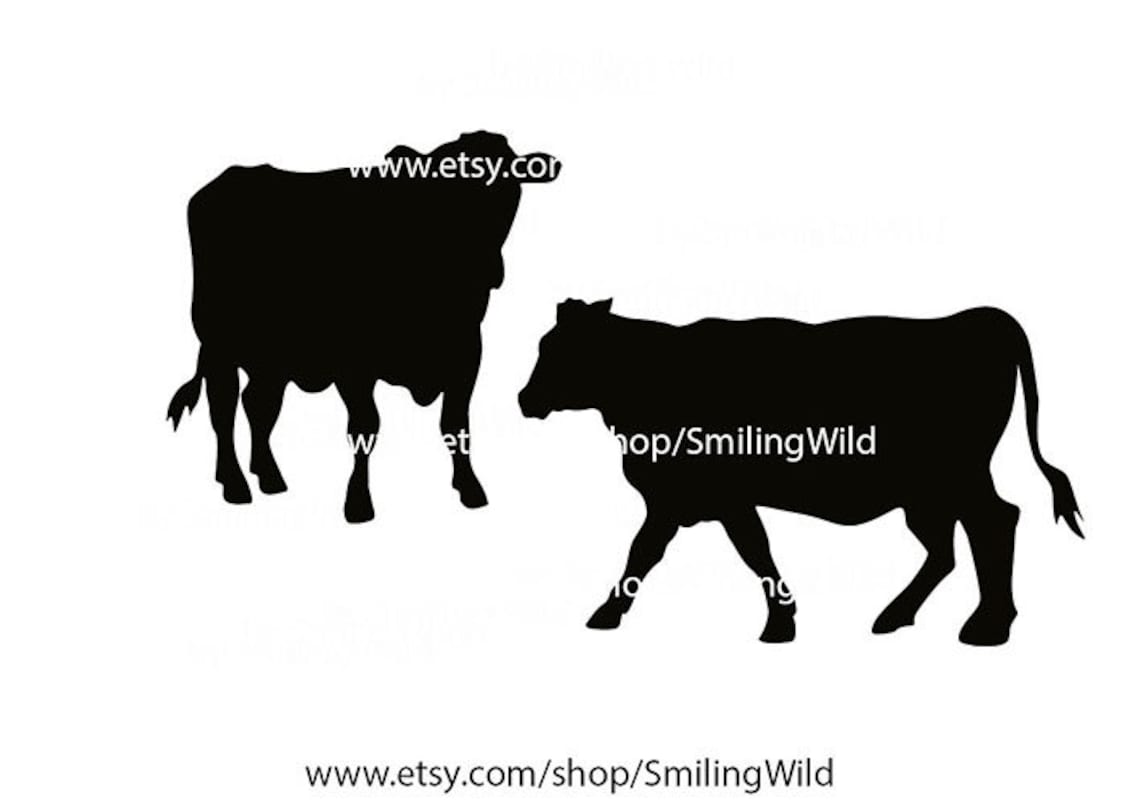 Angus cattle svg silhouette cow clipart laser cut file angus | Etsy