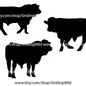 Simmental Cow Svg Silhouette, Bull Vector Art, Simmental Cattle Clipart ...
