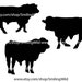 Simmental Cow Svg Silhouette, Bull Vector Art, Simmental Cattle Clipart ...