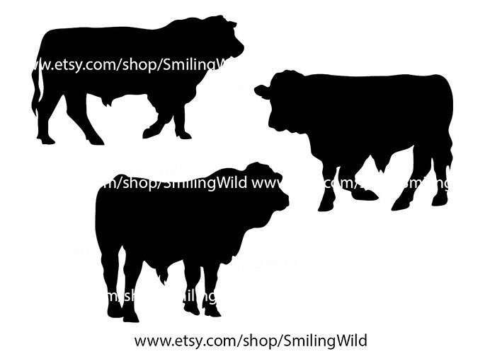 Simmental Cow SVG, PNG Silhouette Bundle: Bull Vector Art (cricut and ...