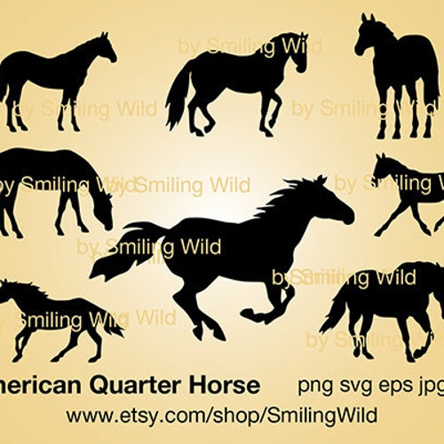 Quarter Horse Breed Svg Clipart Vector Graphic Silhouette | Etsy