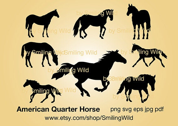 Quarter Horse Breed Svg Clipart Vector Graphic Silhouette | Etsy