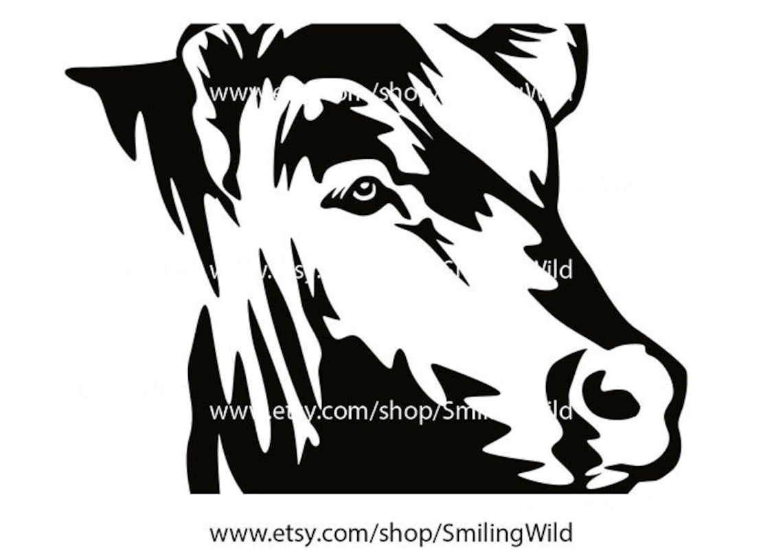 Black Angus Svg Cow Head Farm Animal Portrait Bull Svg Black | Etsy UK