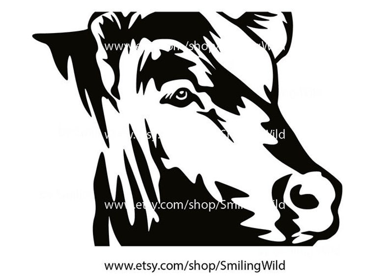 Black Angus Cow Head SVG, PNG, Vector Graphic (digital Design) - Etsy