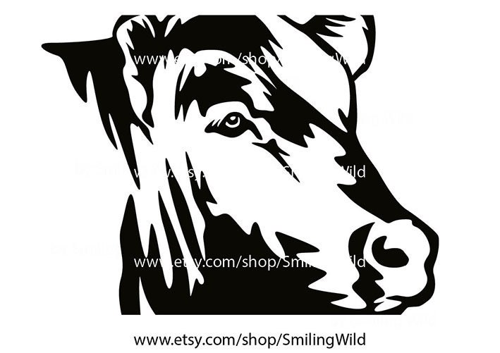 Black Angus Cow Head SVG, PNG, Vector Graphic (digital Design) - Etsy