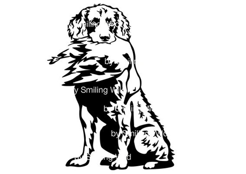 Boykin Spaniel 02 Svg Hynting Dog Art Svg Clipart Boykin - Etsy Sweden