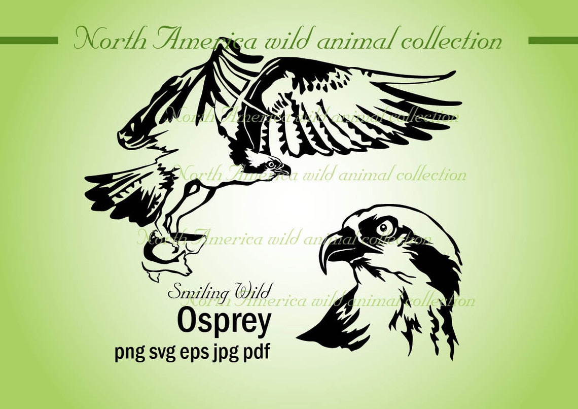 Osprey Svg Sea Hawk Clipart Art Bird of Prey Vector Graphic - Etsy Canada