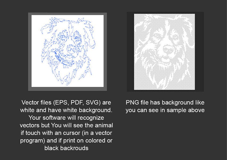Aussie Svg Vector Face Australian Shepherd Portrait Cut in - Etsy