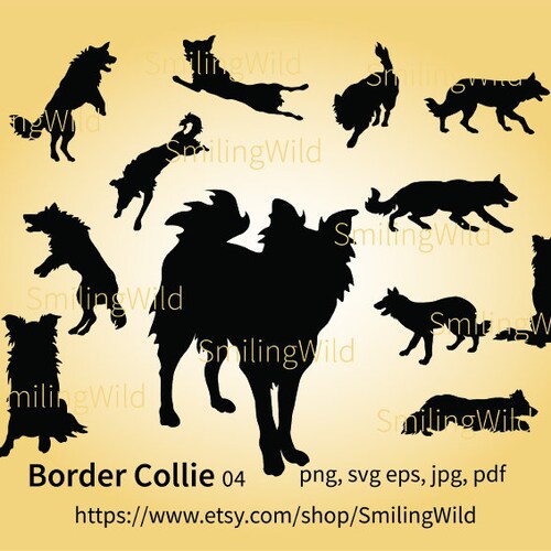 Working Border Collie Svg /11/ Herding Dog Vector Graphic Art - Etsy
