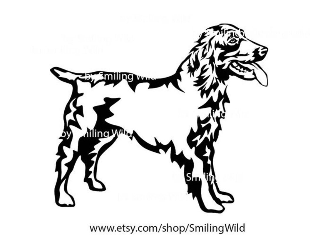 Boykin Spaniel Svg Vector Graphic Art Dog Clipart Boykin - Etsy