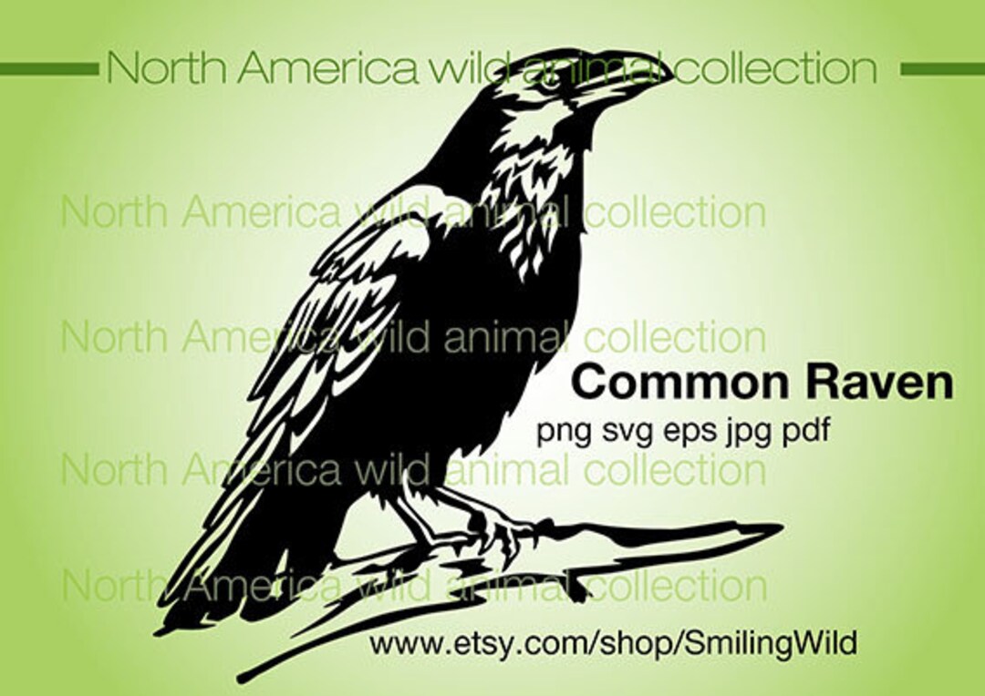 Common Raven Svg Bird Cut File Cuttable Northern Raven Clipart - Etsy