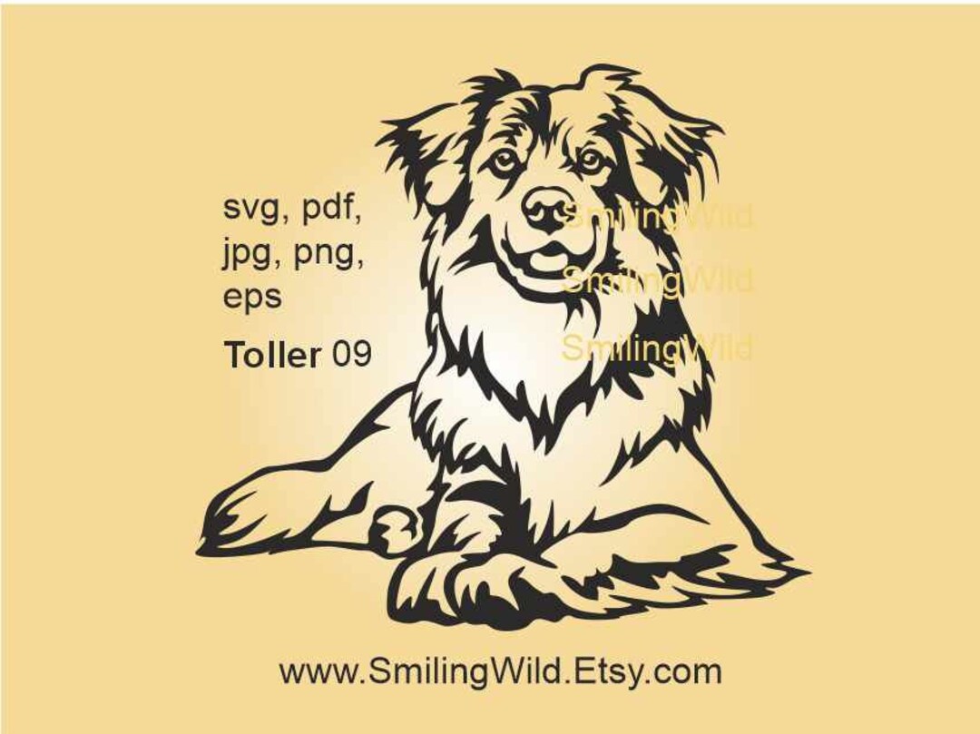 Toller Dog Clipart Svg Hunting Dog Cut File Portrait Nova Scotia Duck ...