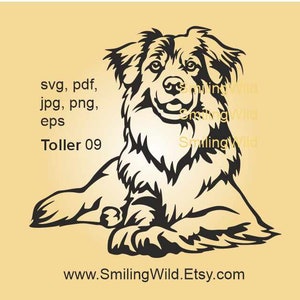 Toller Dog Clipart Svg Hunting Dog Cut File Portrait Nova Scotia Duck ...