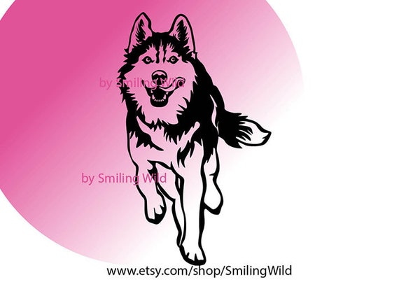 Running Husky Drawings