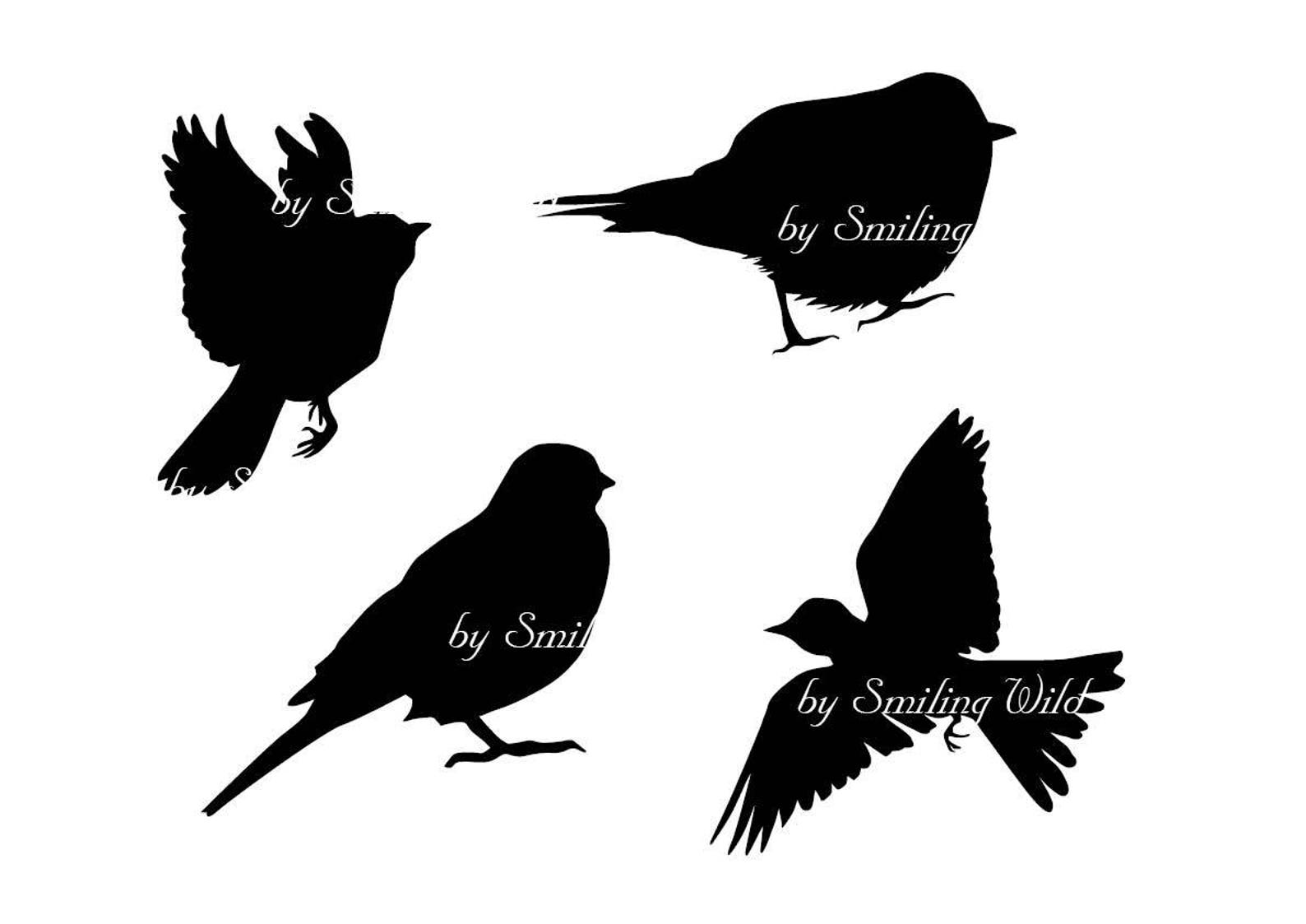 Flying Bird Svg Clipart Silhouette Songbird Silhouettes Vector - Etsy