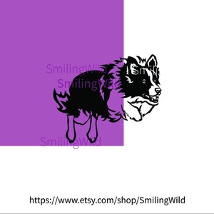 Running Border Collie Dog Svg Vector Graphic Art Border Collie Png ...