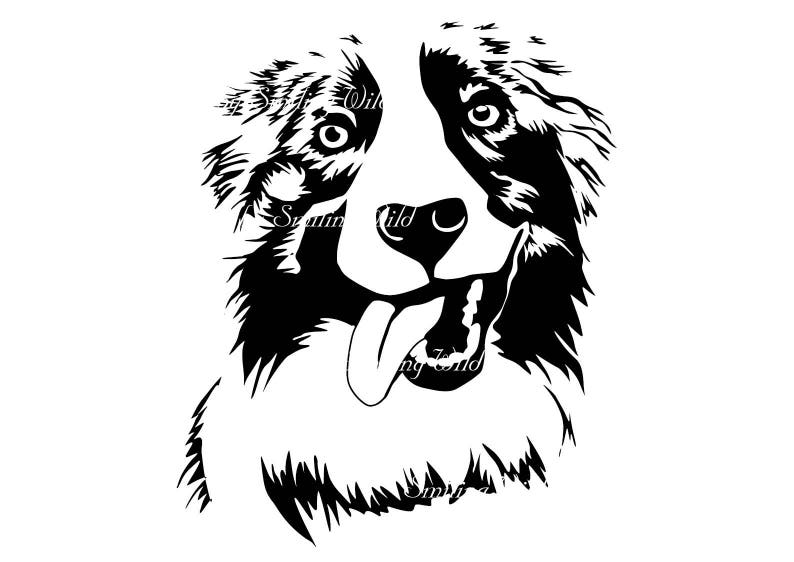 Aussie Dog Art Svg Peeking Dog Australian Shepherd Design Png - Etsy