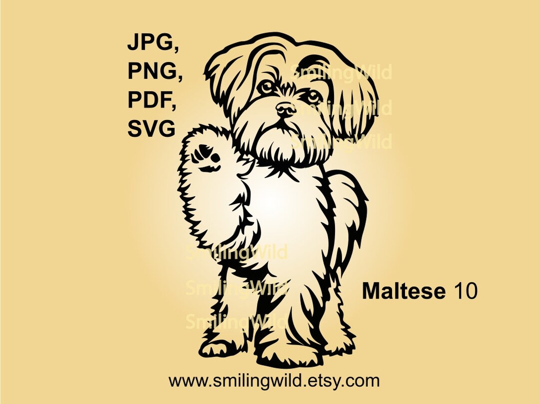 Maltese Dog Svg Cuttable Vector Graphic File, Maltese Clip Art Design ...
