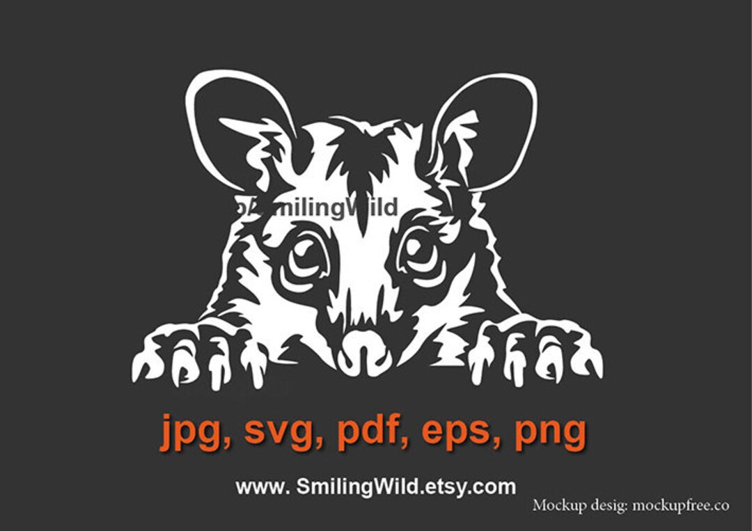 Common Brushtail Possum Svg Png, Australian Possum Cuttable Vector Clip ...