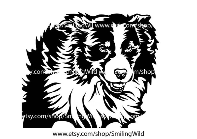 Australian Shepherd svg dog agility jump vector graphic art | Etsy