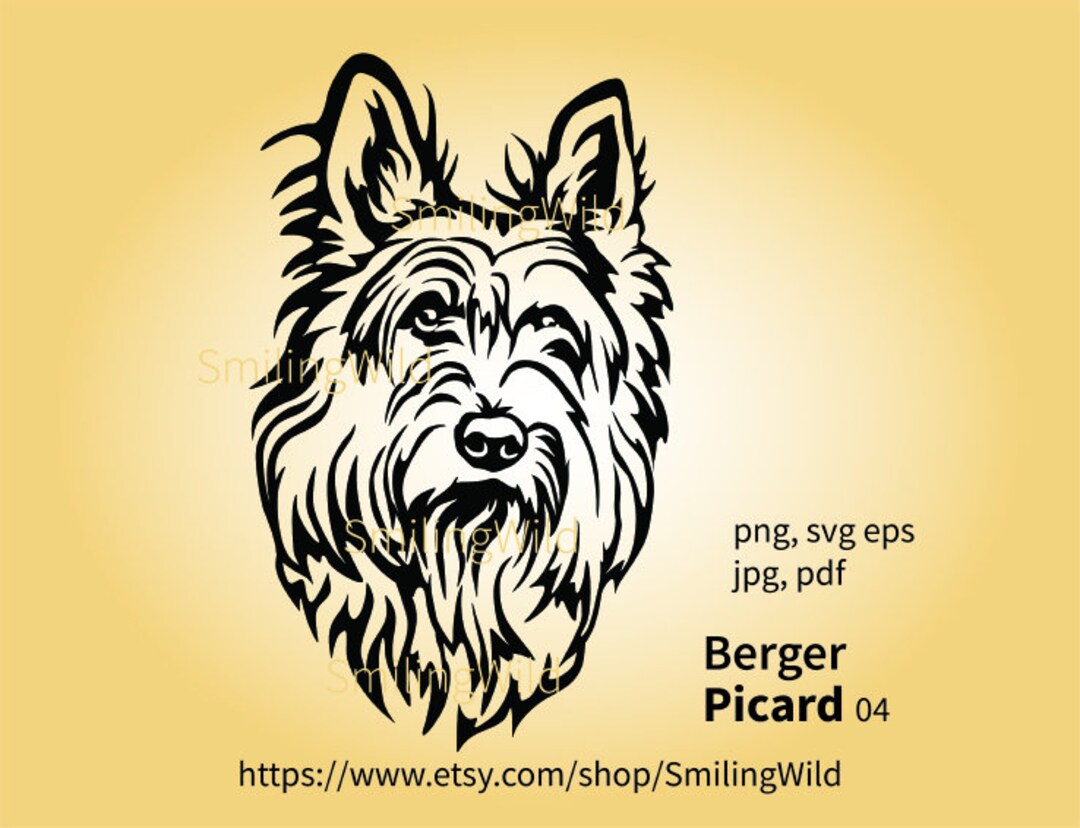 Berger Picard Dog Svg Vector File, Berger De Picardie Face Art, Picardy ...