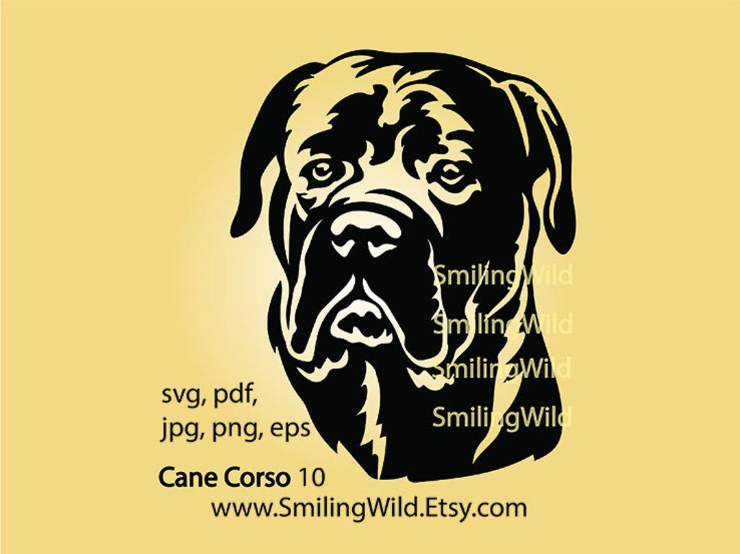 Cane Corso Svg Clipart Dog Head Portrait Cane Corso Cut File - Etsy