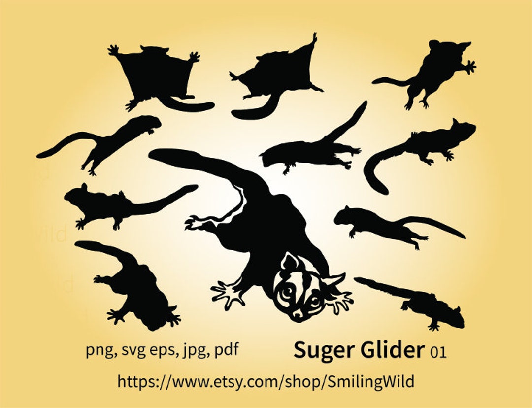 Sugar Glider SVG & PNG Silhouette Clipart Bundle, Australian Animal ...