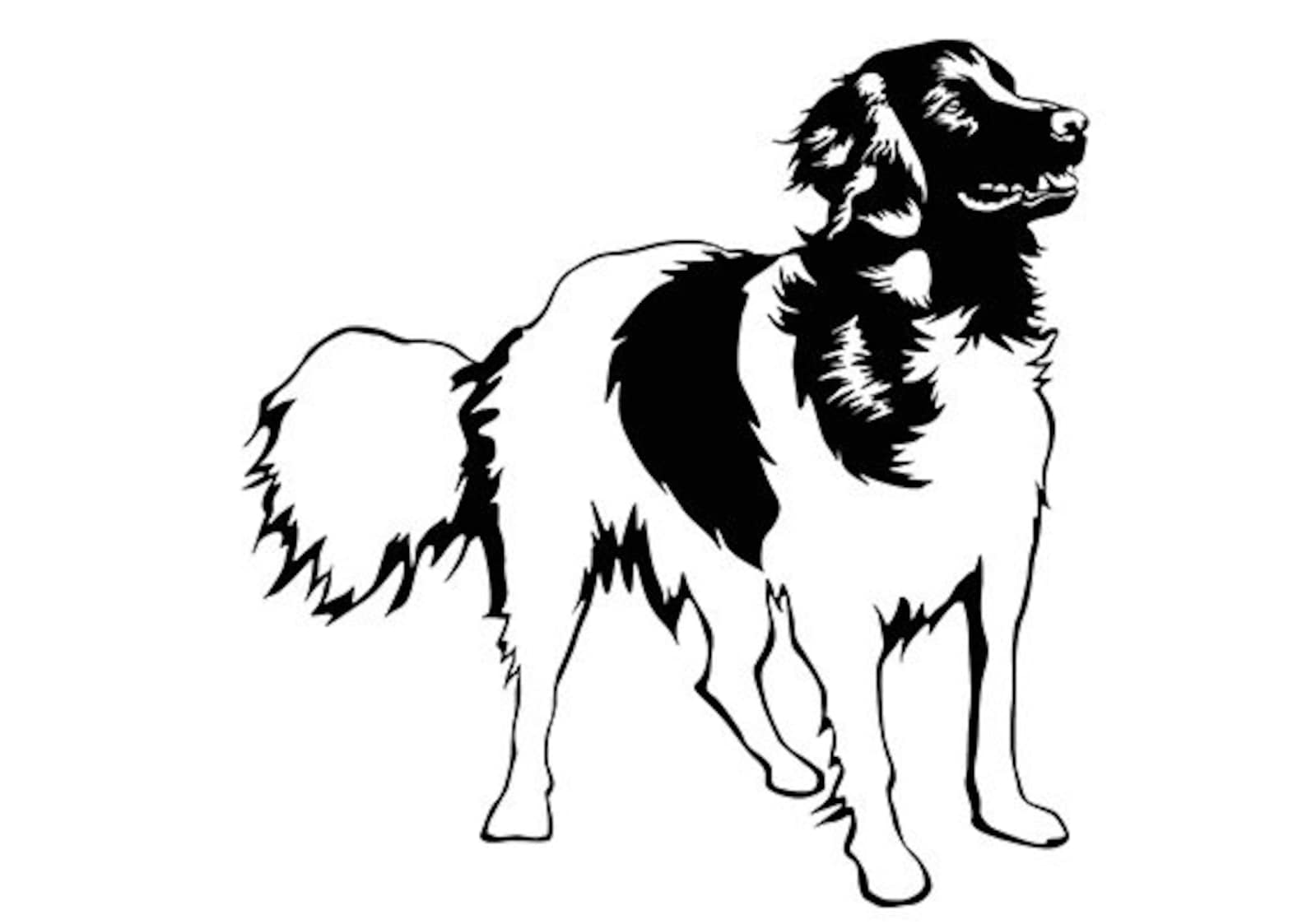 Stabij SVG vector grafische kunst Friese aanwijzer clipart | Etsy