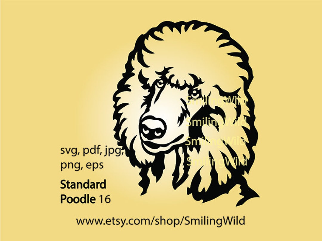 Standard Poodle Svg Head Tilt, Portrait Cuttable Clip Art, Poodle Dog ...