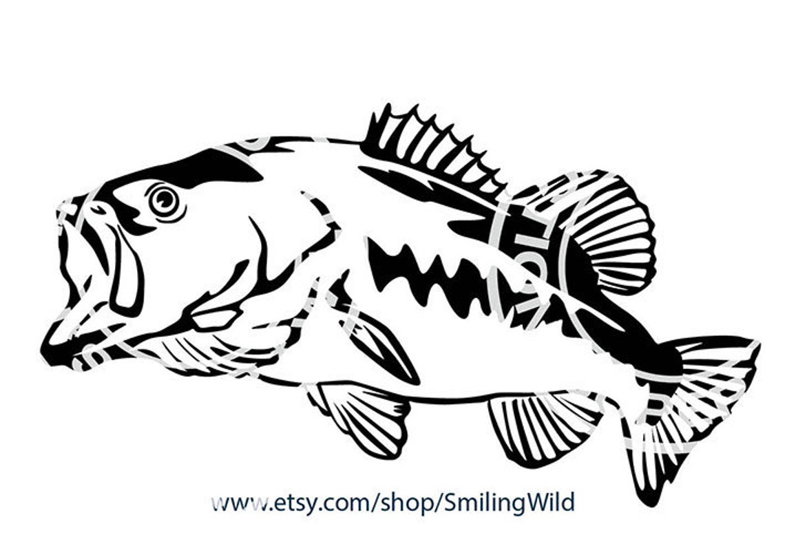 Largemouth Bass Svg Clipart Freshwater Game Fish Vector | Etsy