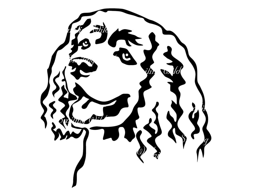 American Cocker Spaniel Portrait Svg Clipart Vector Graphic - Etsy ...