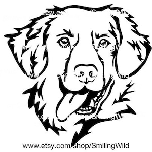 Toller Dog Svg Clipart Portrait Head Nova Scotia Duck Tolling Retriever ...