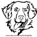 Toller Dog Svg Clipart Portrait Head Nova Scotia Duck Tolling Retriever ...